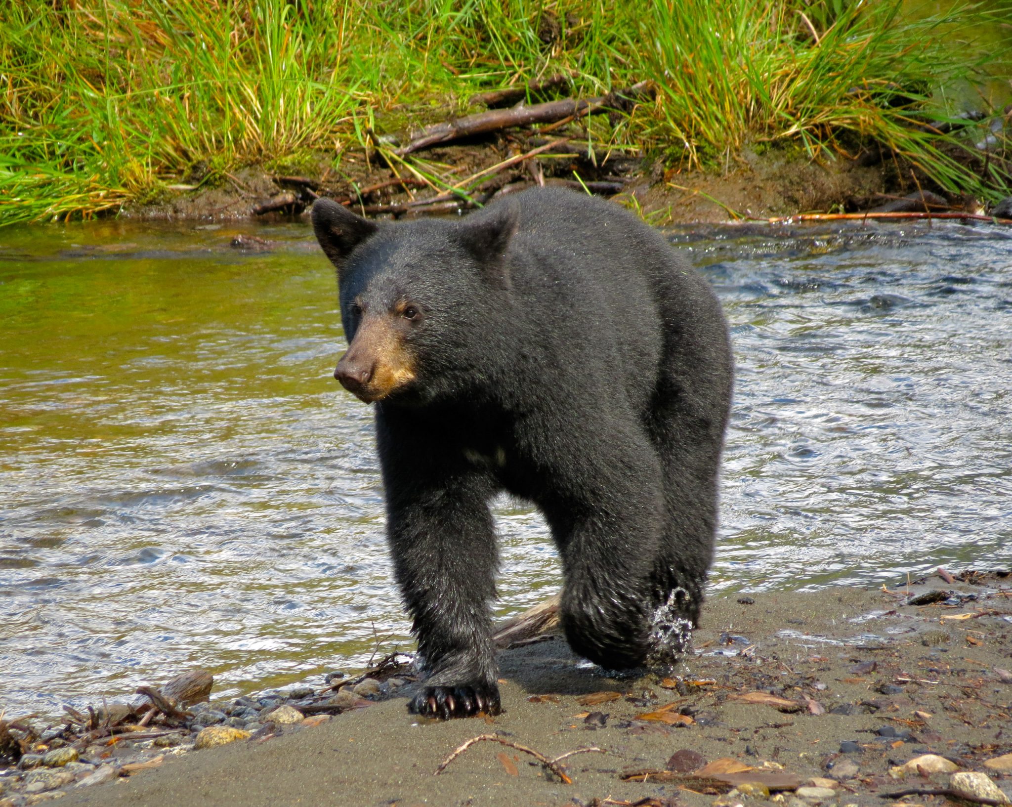 Elizabeth_Flory - Carol Kent Yacht Charters International | Luxury ...